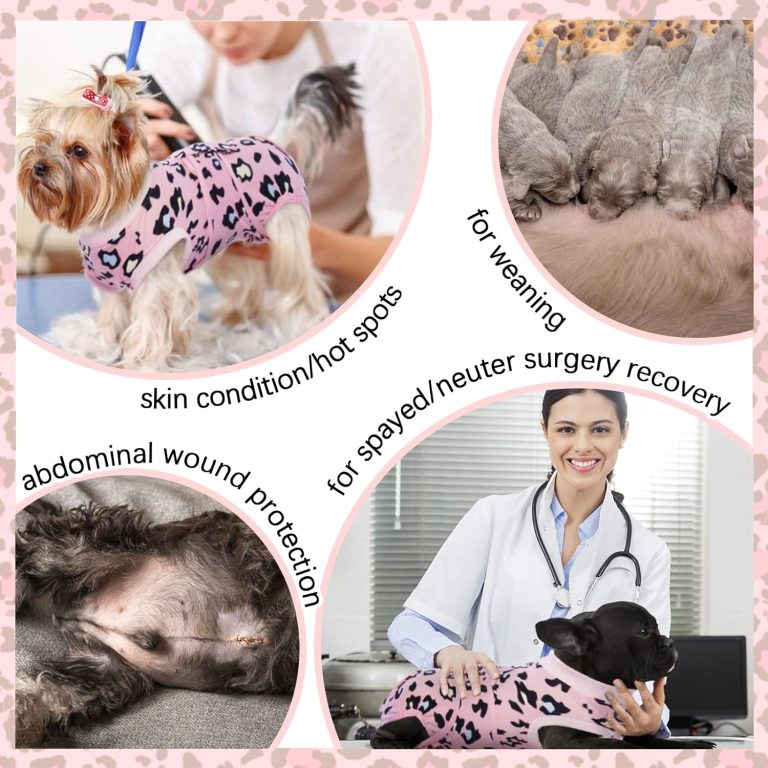 Dog Surgery Recovery Suit – The Dachshund Lover Store